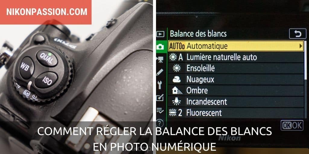 Comment régler la balance des blancs en photo numérique