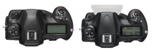 Comparatif Nikon D6 vs D5 : quel reflex pro choisir