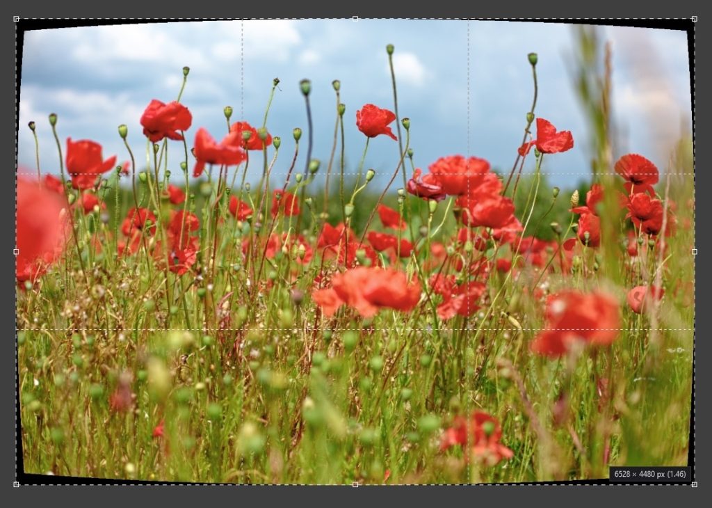 DxO PhotoLab 6.3 : épreuvage simplifié et installation des modules ...