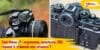 Test Nikon Zf: ergonomie, autofocus, ISO, répond-il aux attentes