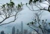 Comment réussir vos photos par temps gris : une technique étonnante ...